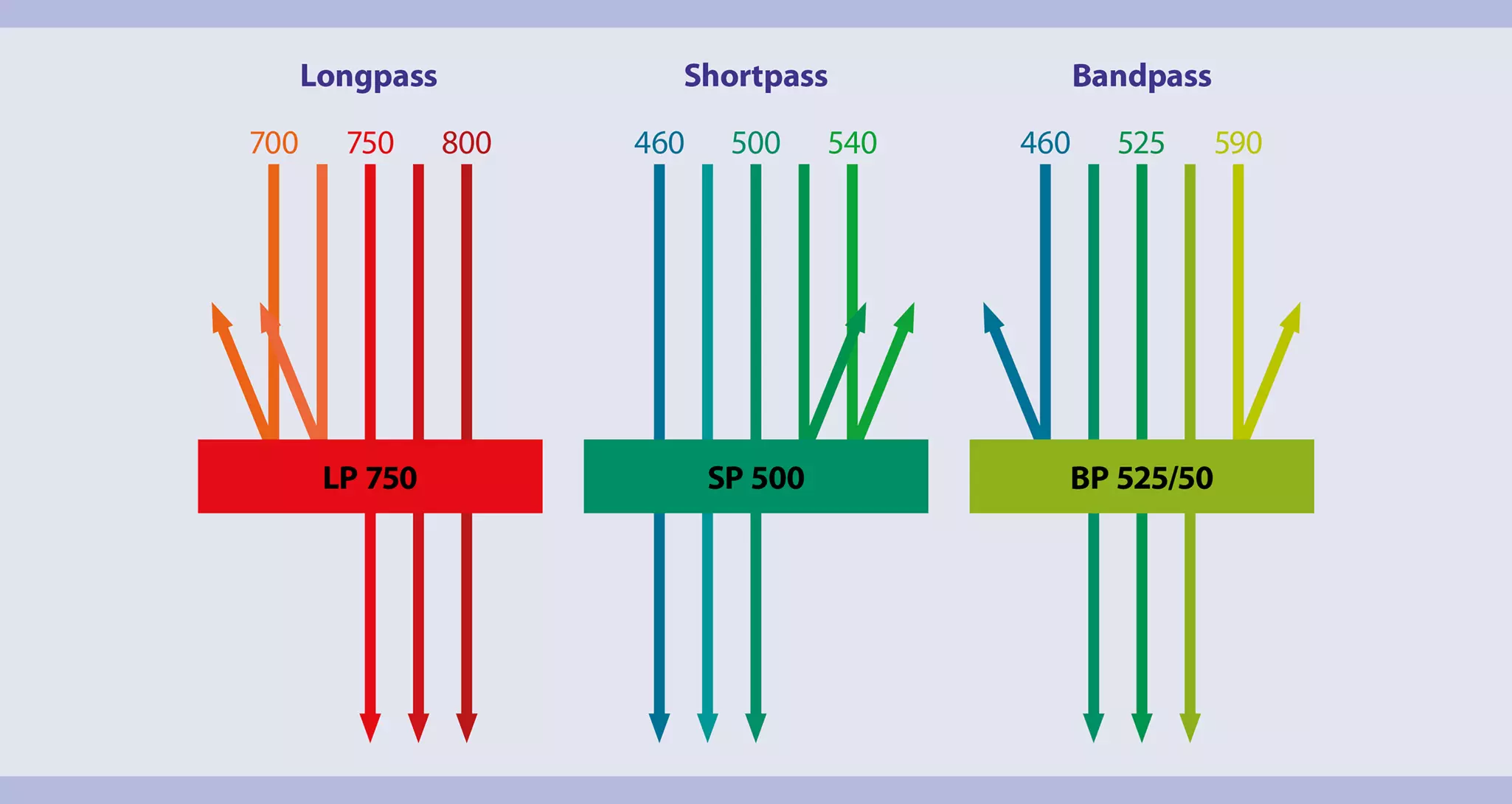 Flow Cytometry Basics | MACS Handbook | Miltenyi Biotec | USA