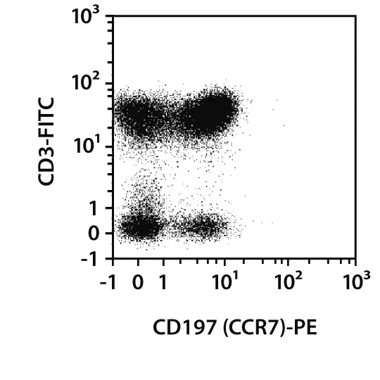 CD197 (CCR7) Antibody, anti-human, REAfinity™ | Miltenyi Biotec | USA