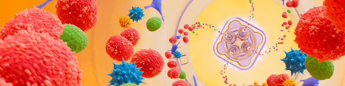 Automated ex vivo perfusion of tissue | Innovative perfusion technology ...