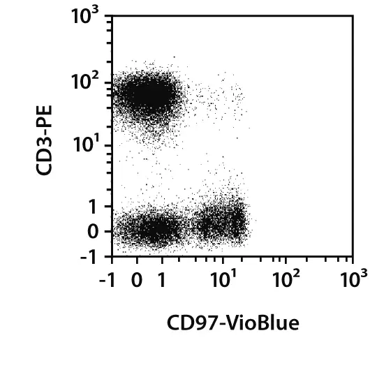 CD97 Antibody, anti-human | Miltenyi Biotec | India
