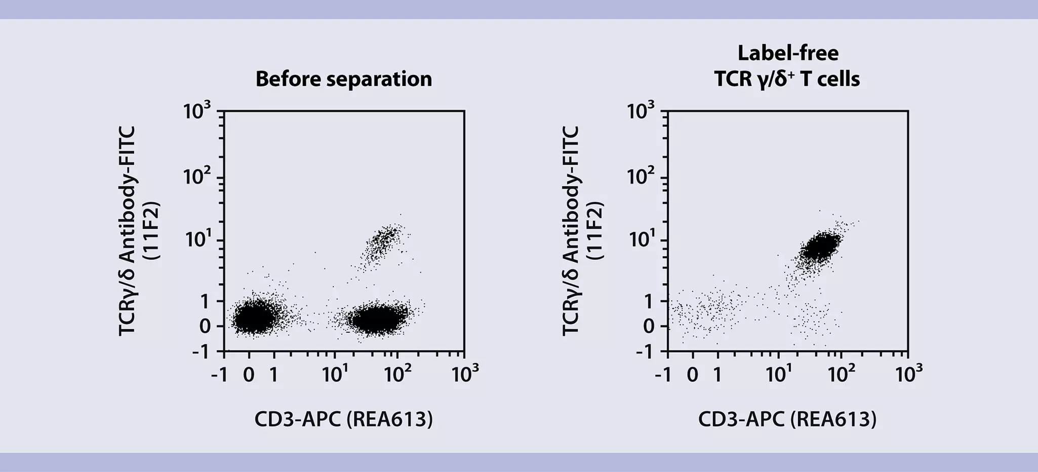 Gamma delta T cells | Research solutions | Miltenyi Biotec | USA