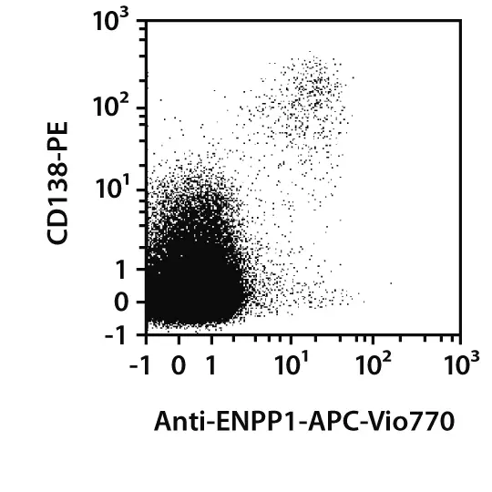 ENPP1 Antibody, anti-mouse, REAfinity™ | Miltenyi Biotec | 日本