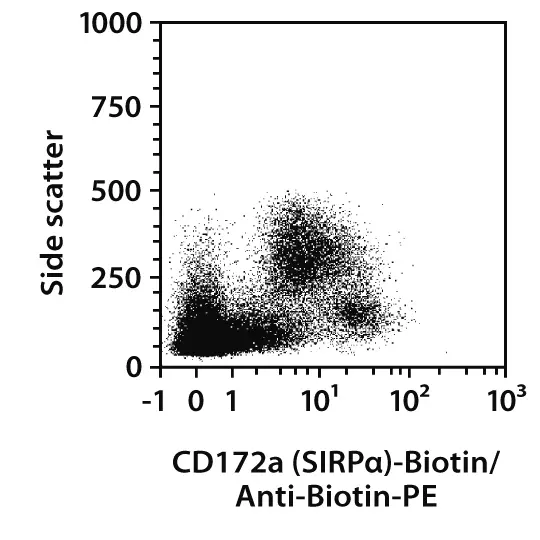 CD172a (SIRPα) Antibody, anti-rat, REAfinity™ | Miltenyi Biotec | 日本