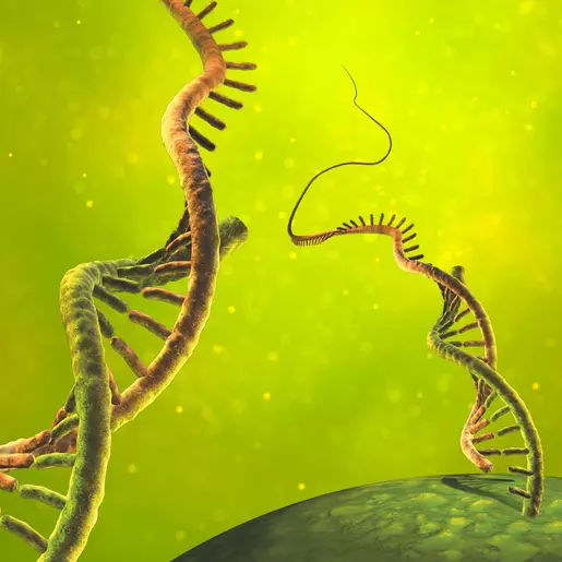 PrepProtect™ Stabilization Buffer | Miltenyi Biotec | USA