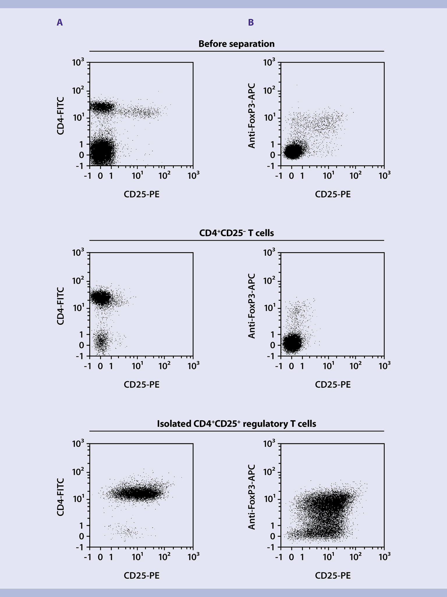 Regulatory T cells Mouse | Treg Cells & Markers | Handbook | Miltenyi ...