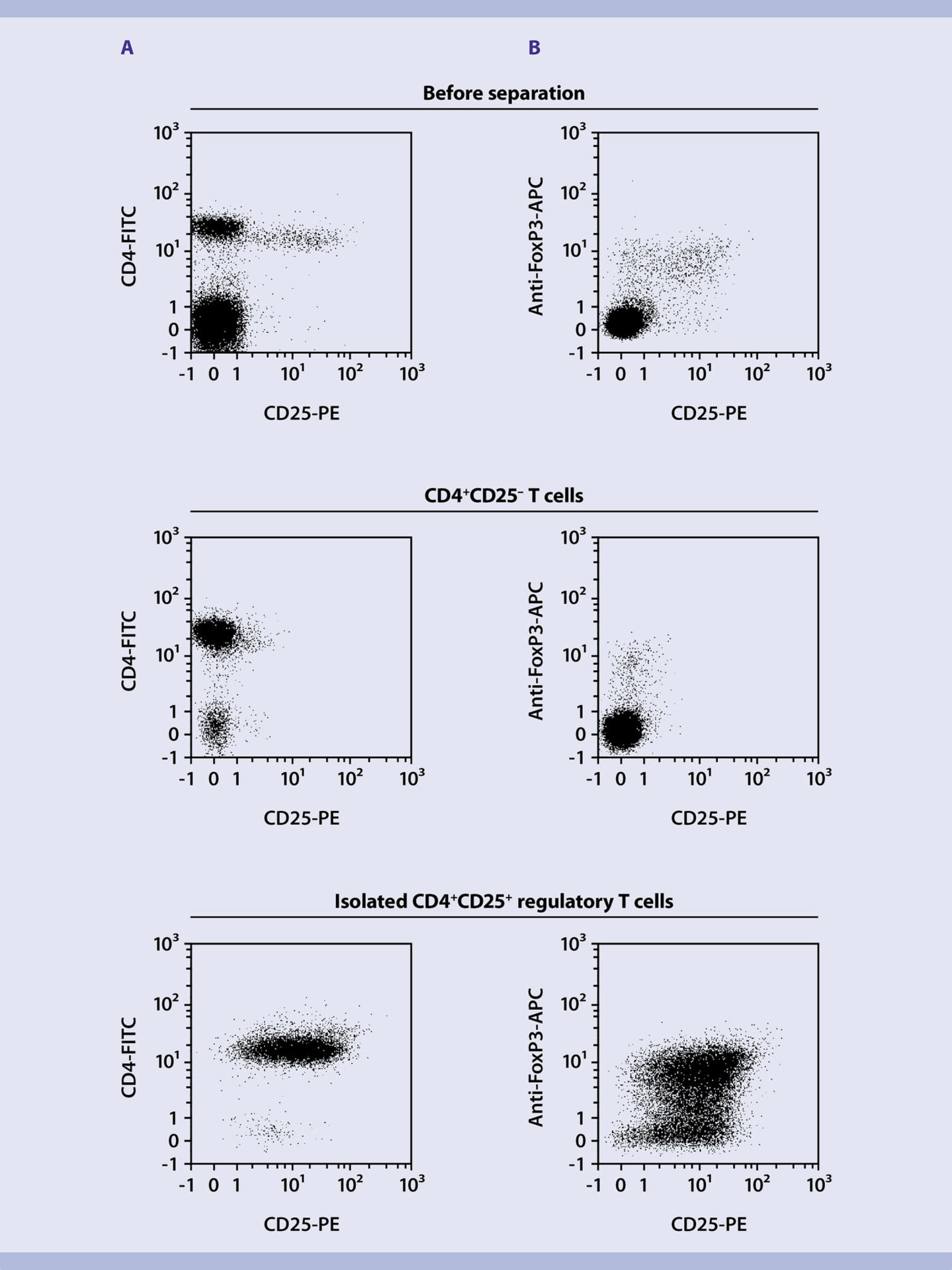 Regulatory T cells Mouse | Treg Cells & Markers | Handbook | Miltenyi ...
