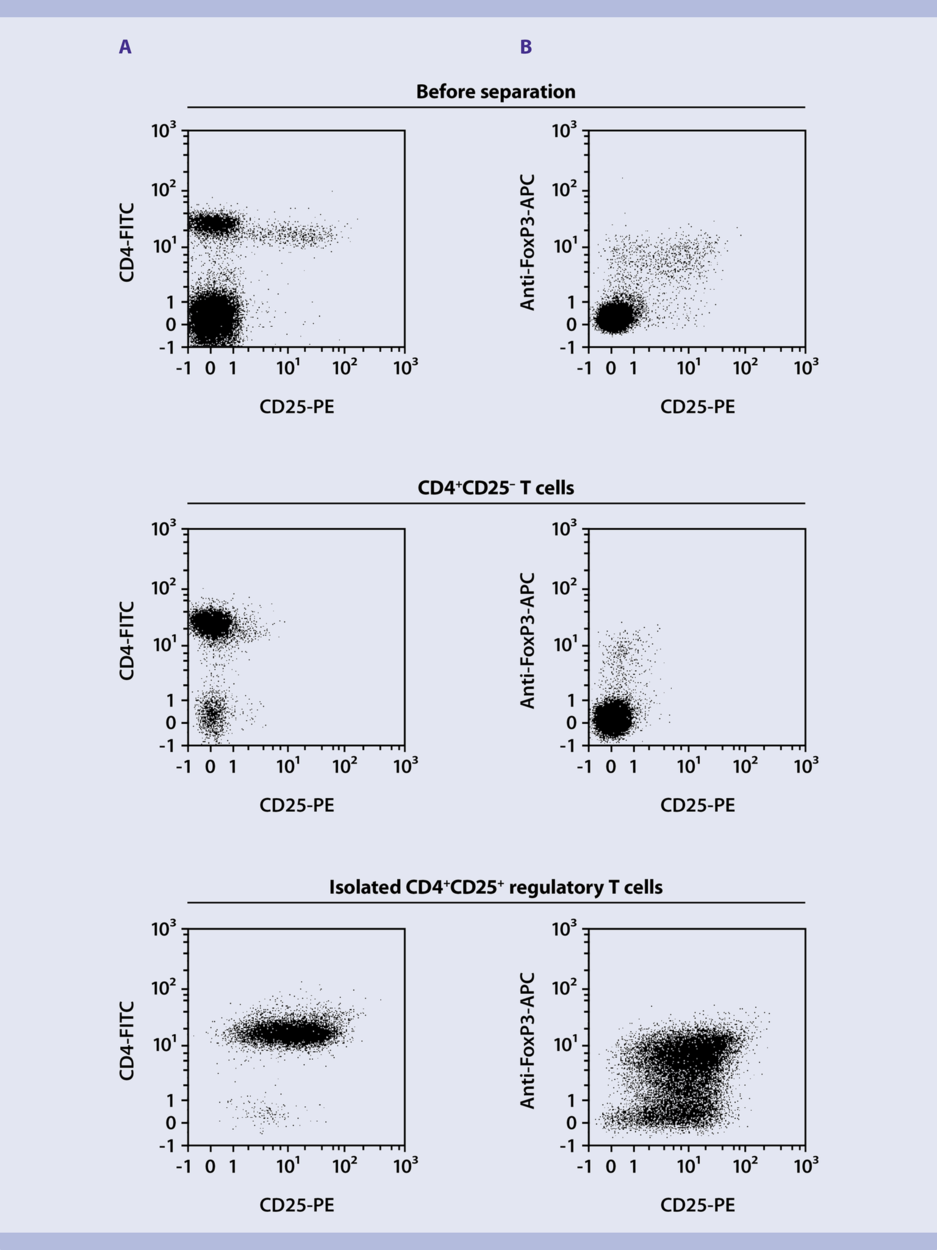 Regulatory T cells Mouse | Treg Cells & Markers | Handbook | Miltenyi ... Regulatory T cells Mouse | Treg Cells & Markers | Handbook | Miltenyi ...
