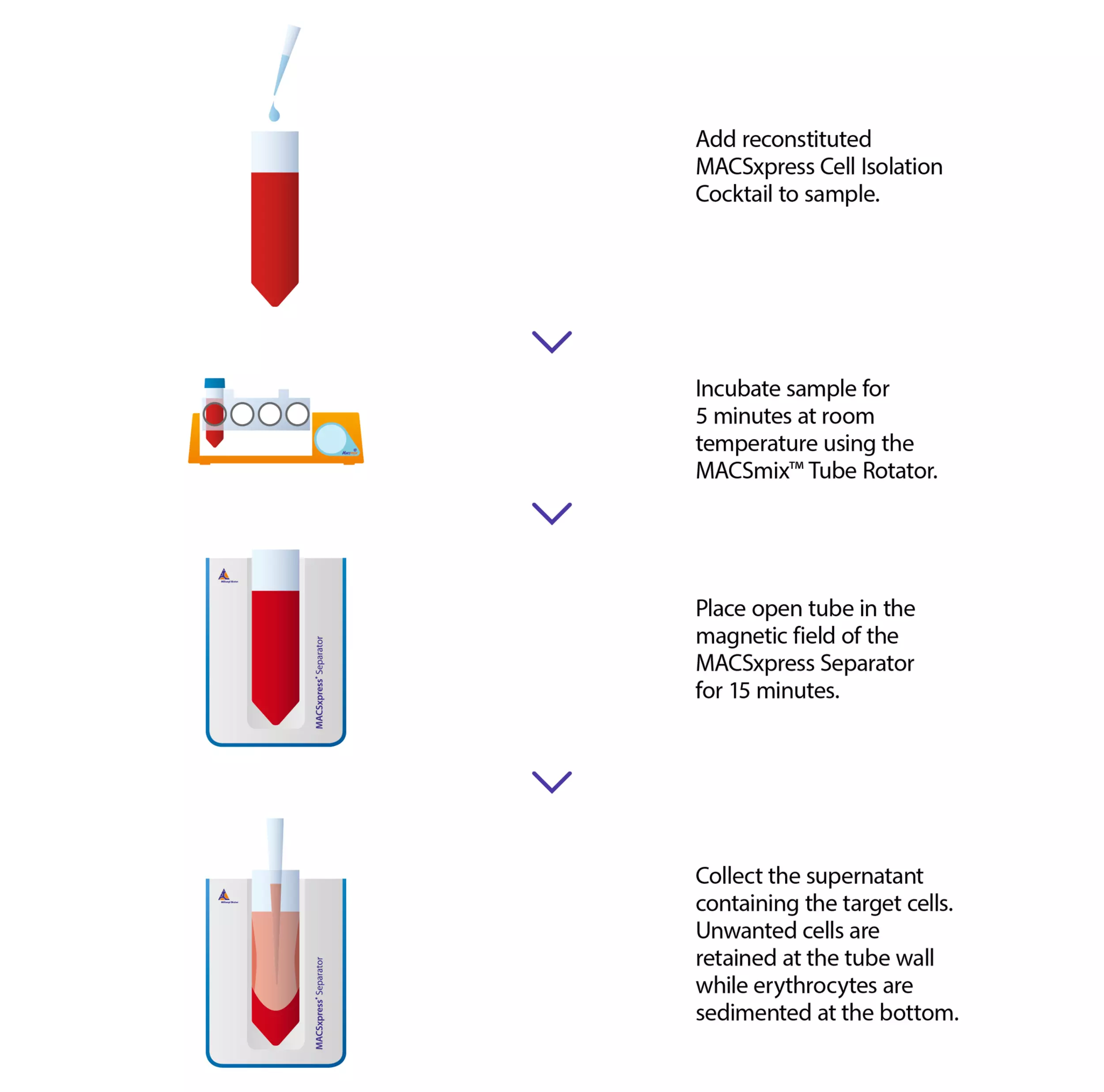 Label free cell separation | Technology and product guide | Miltenyi ...