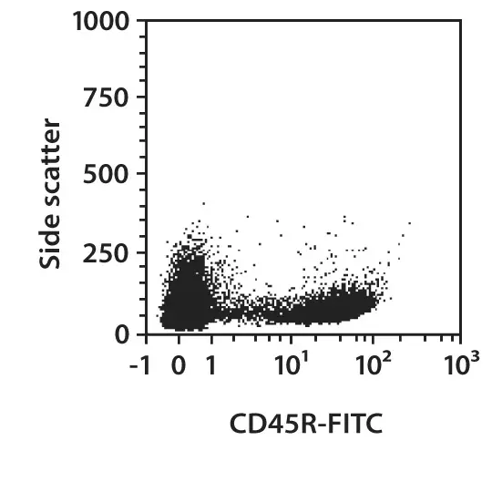 CD45R (B220) Antibody, anti-mouse | Miltenyi Biotec | USA