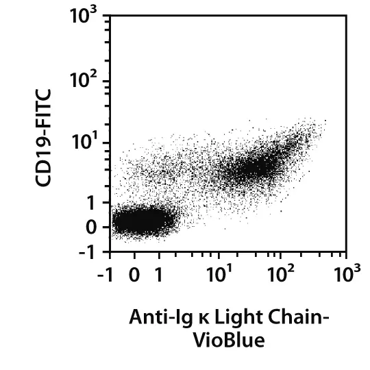 Ig κ Light Chain Antibody, anti-mouse | Miltenyi Biotec | USA