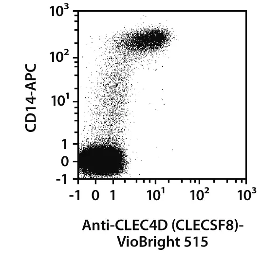 CLEC4D (CLECSF8) Antibody, anti-human, REAfinity™ | Miltenyi Biotec | USA