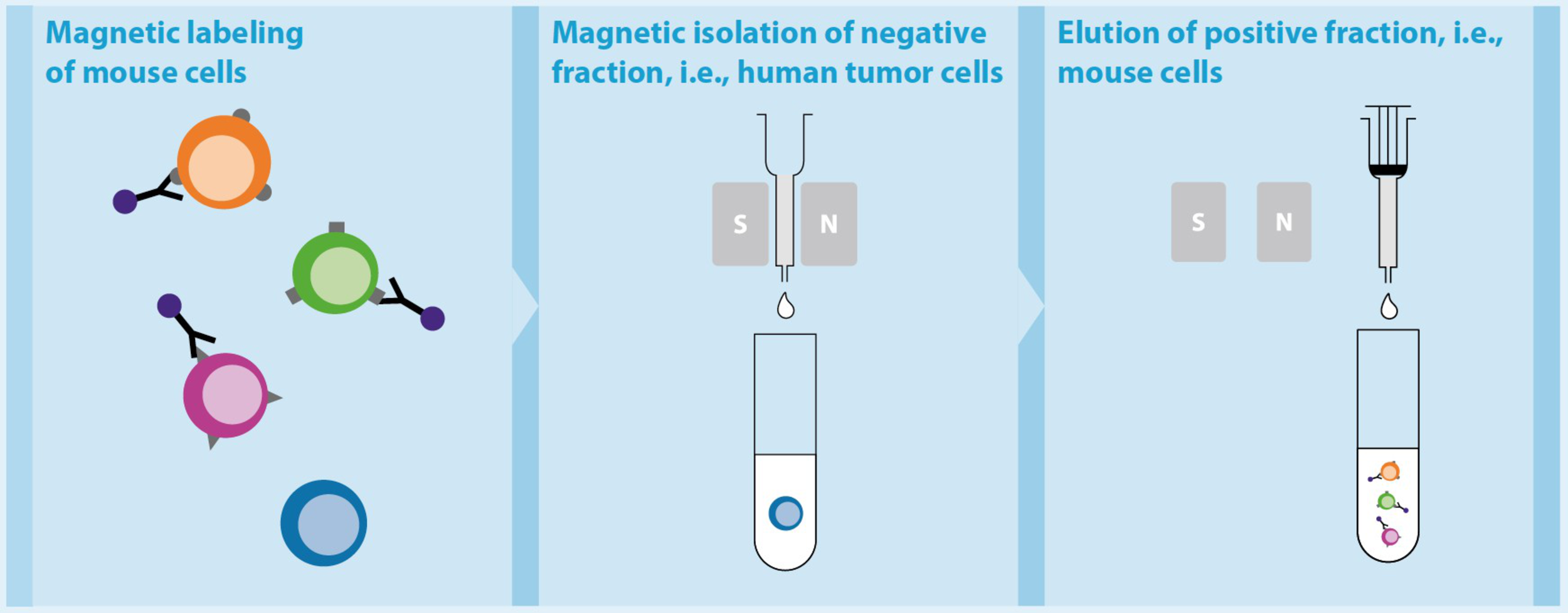 Isolation of xenografted cells | Tumors | Protocol | Miltenyi Biotec | USA
