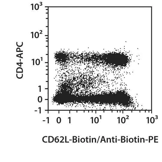 CD62L Antibody, anti-human | Miltenyi Biotec | USA