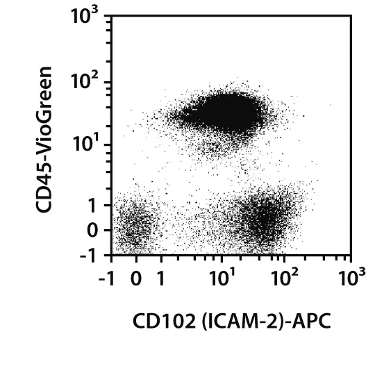 CD102 (ICAM-2) Antibody, anti-human, REAfinity™ | Miltenyi Biotec | USA