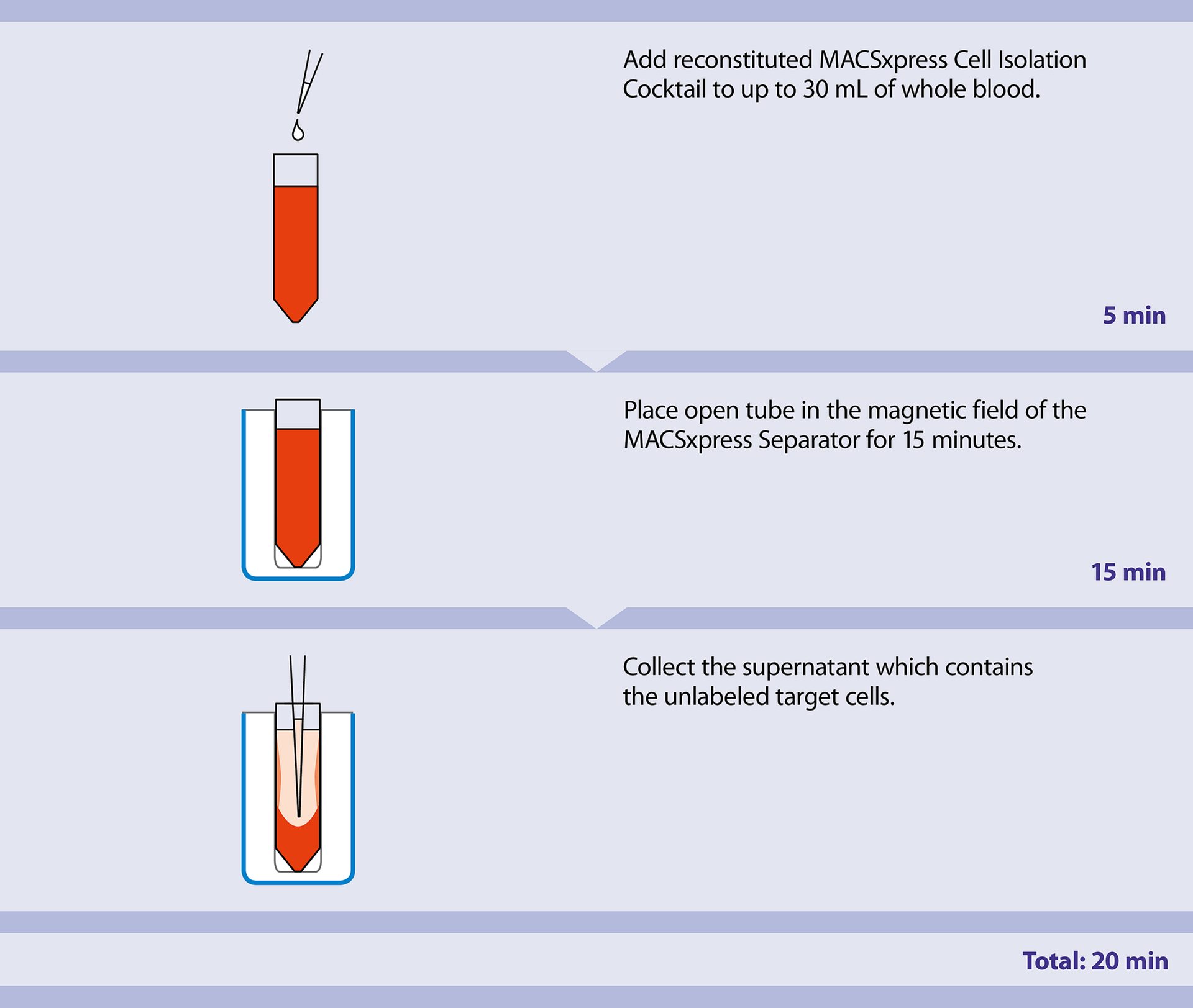 Basic principle of magnetic cell separation | Miltenyi Biotec ...