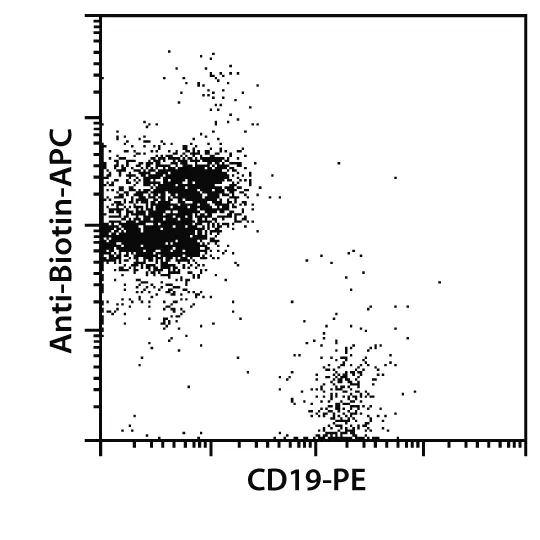 B Cell Isolation Kit II, human | Miltenyi Biotec | 日本