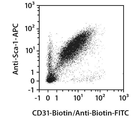 Cardiac Progenitor Cell Isolation Kit (Sca-1), mouse | Miltenyi Biotec ...