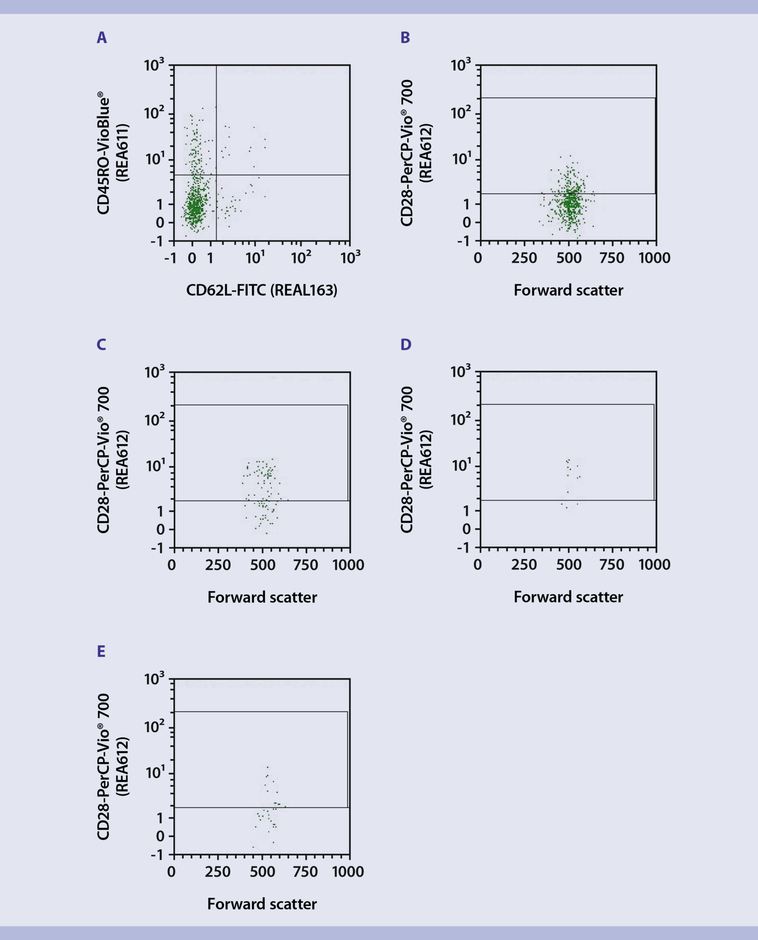 T cell maturation | MHC multimers | Protocol | Miltenyi Biotec | Ireland