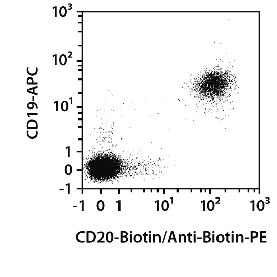 CD20 Antibody, anti-human, REAfinity™ | Miltenyi Biotec | USA