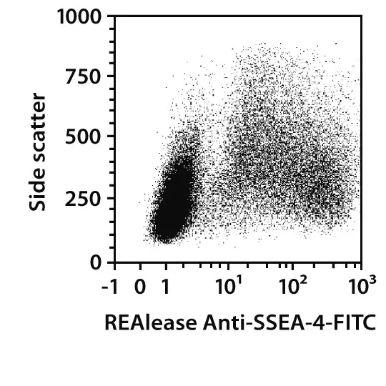 SSEA-4 Antibody, anti-human, REAlease® | Miltenyi Biotec | USA