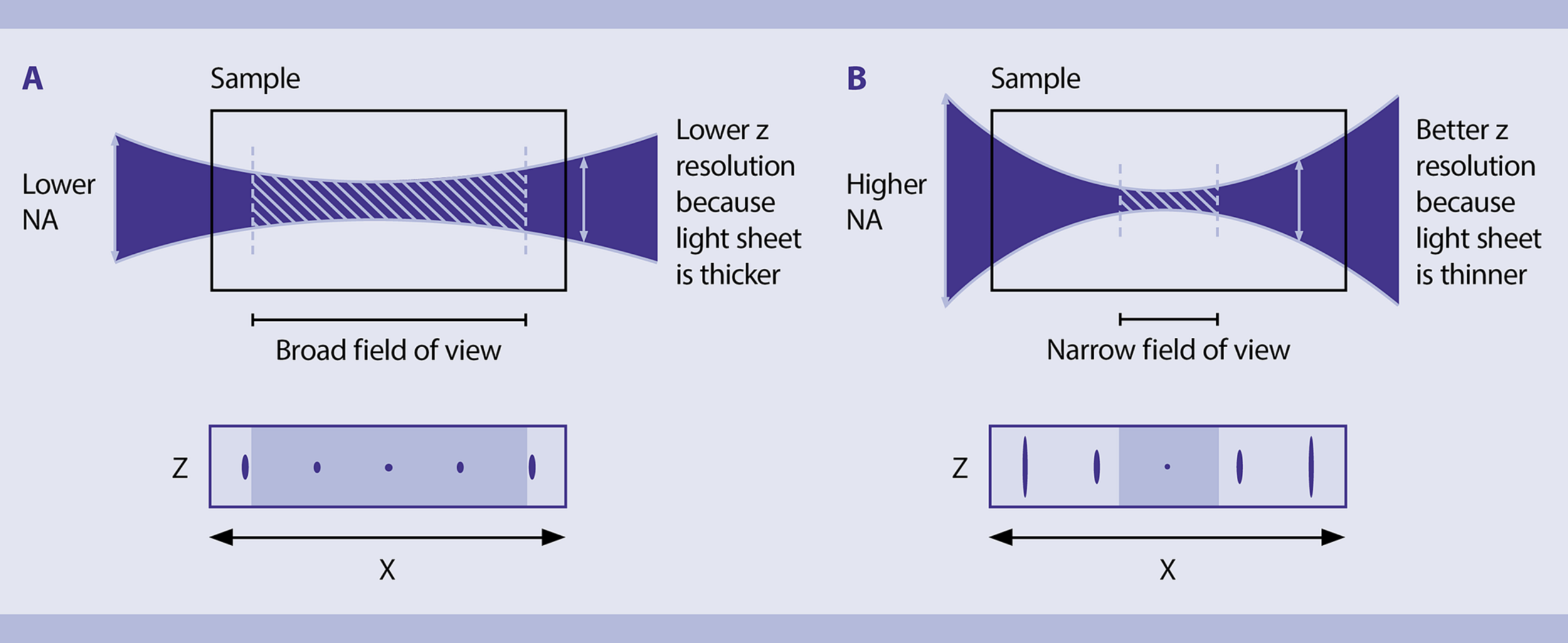 Light sheet microscopy | Miltenyi Biotec | USA