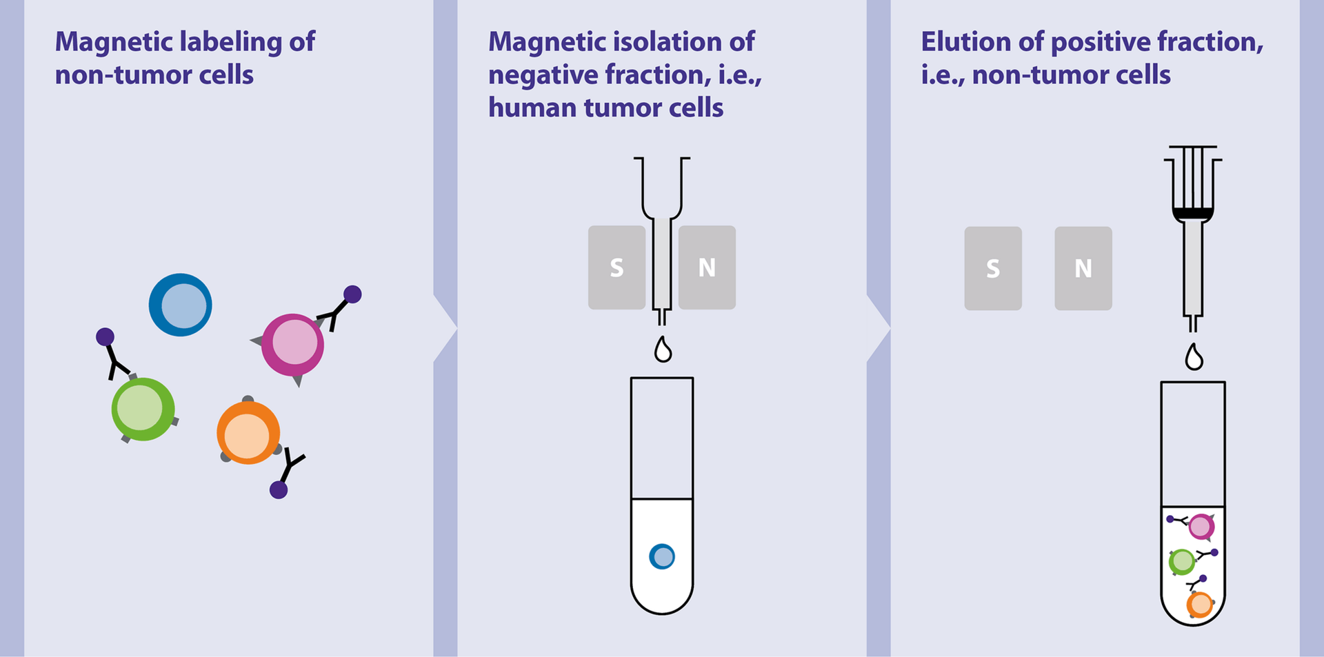 Isolation of tumor cells from human tumor tissue | Protocol | Miltenyi ...