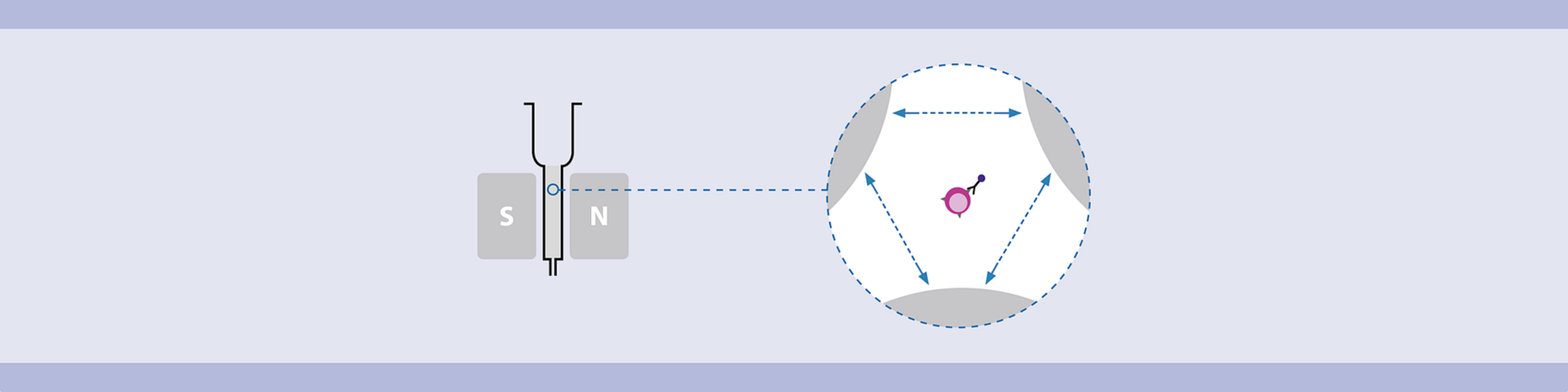 MACS® Column for gentle separation of any cell type | Miltenyi Biotec | USA