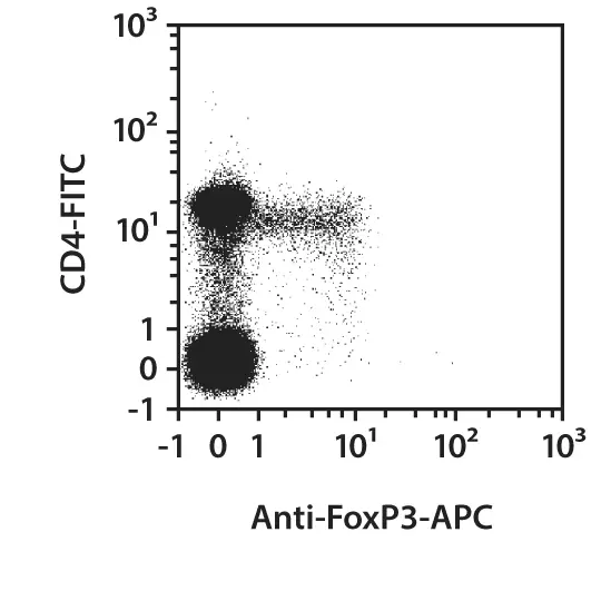 FoxP3 Antibody, anti-mouse, REAfinity™ | Miltenyi Biotec | USA
