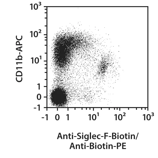 Siglec-F Antibody, anti-mouse, REAfinity™ | Miltenyi Biotec | USA