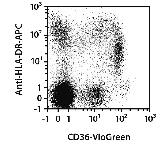 CD36 Antibody, anti-human, REAfinity™ | Miltenyi Biotec | USA