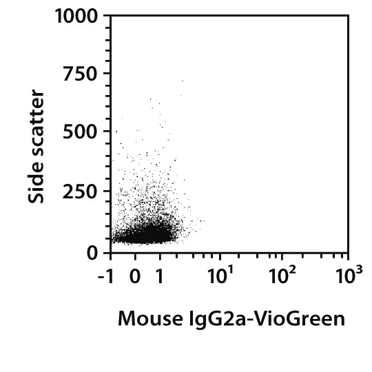 CD90.1 Antibody, anti-mouse/rat | CD90.1 Antibody, anti-mouse/rat ...