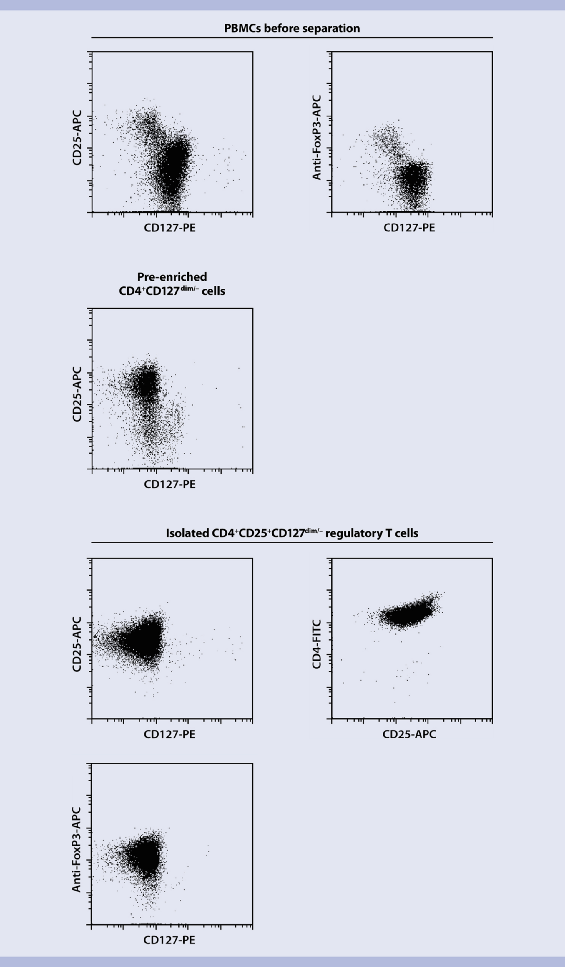Activation of regulatory t cells | Treg activation | Miltenyi | Miltenyi Biotec | USA