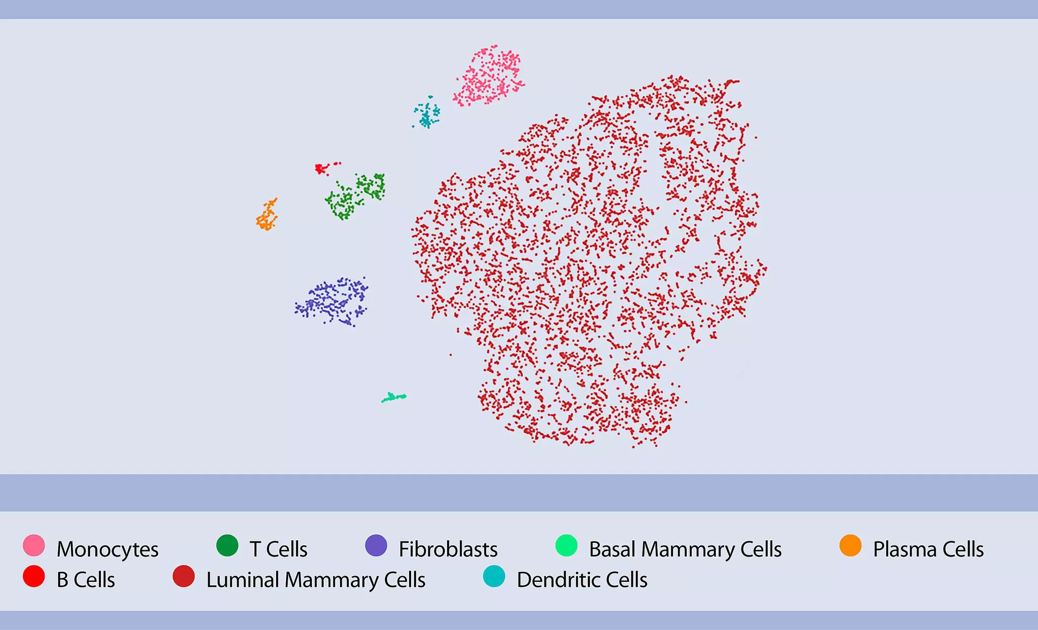 TIL isolation protocol | Tumor infiltrating lymphocytes | Miltenyi ...