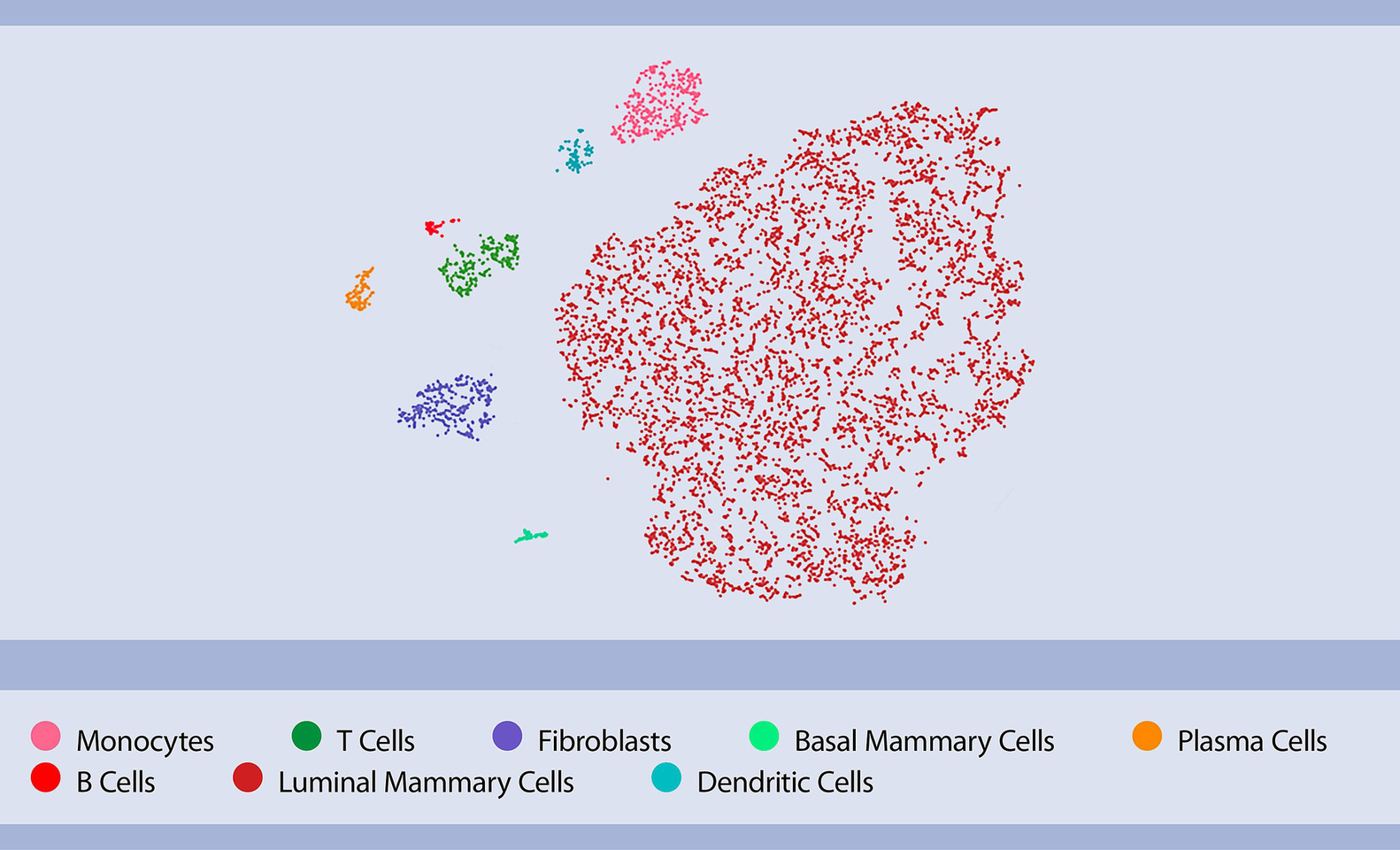 Tumor infiltrating leukocytes | Til isolation | Miltenyi | Miltenyi ...