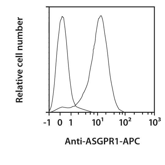 ASGPR1 Antibody, anti-human, REAfinity™ | Miltenyi Biotec | 中国