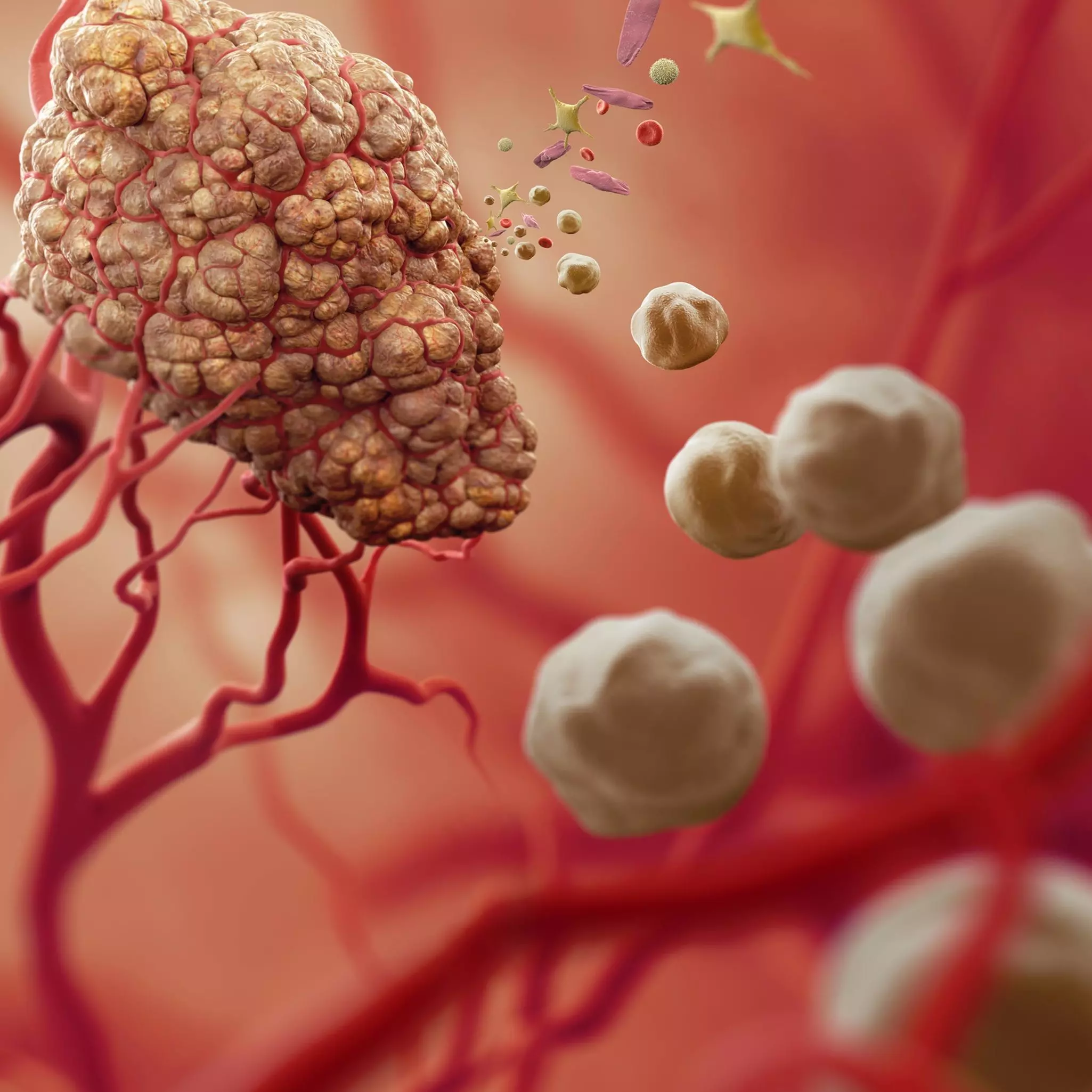 Cell culture media | MACS® Media used for cell culture | Miltenyi ...