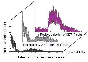 CD71 MicroBeads, human | Miltenyi Biotec | USA