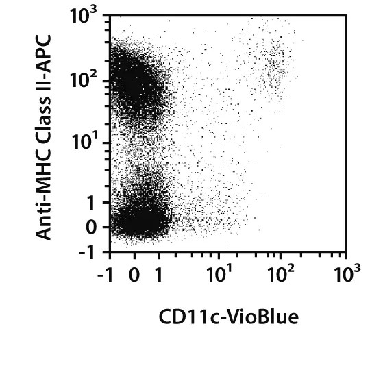 CD11c Antibody, anti-mouse, REAfinity™ | Miltenyi Biotec | USA