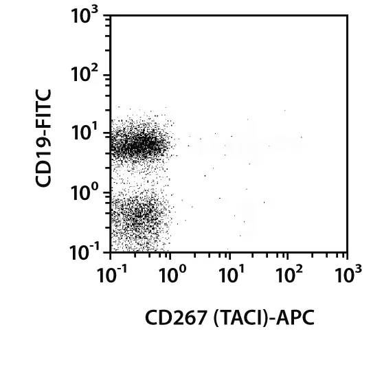 CD267 (TACI) Antibody, anti-mouse | Miltenyi Biotec | USA