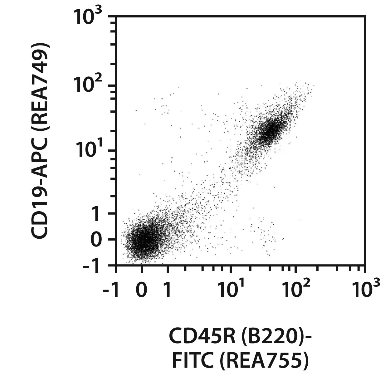 StraightFrom® Spleen Pan B Cell Isolation Kit, mouse | Miltenyi Biotec ...