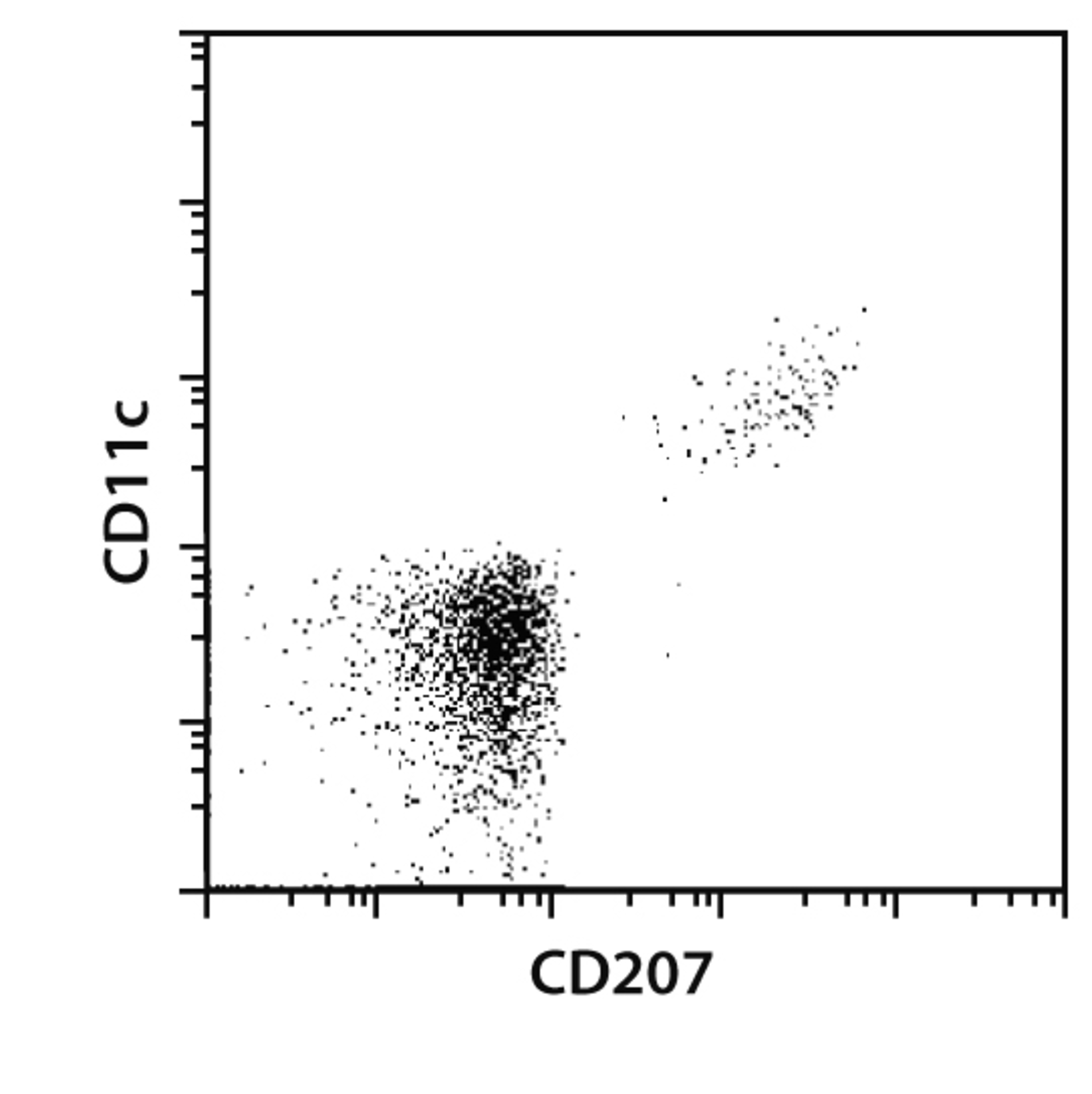 Dendritic cells (mouse) | Miltenyi Biotec | Australia