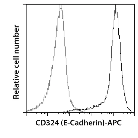 CD324 (E-Cadherin) Antibody, anti-human | CD324 (E-Cadherin) Antibody ...