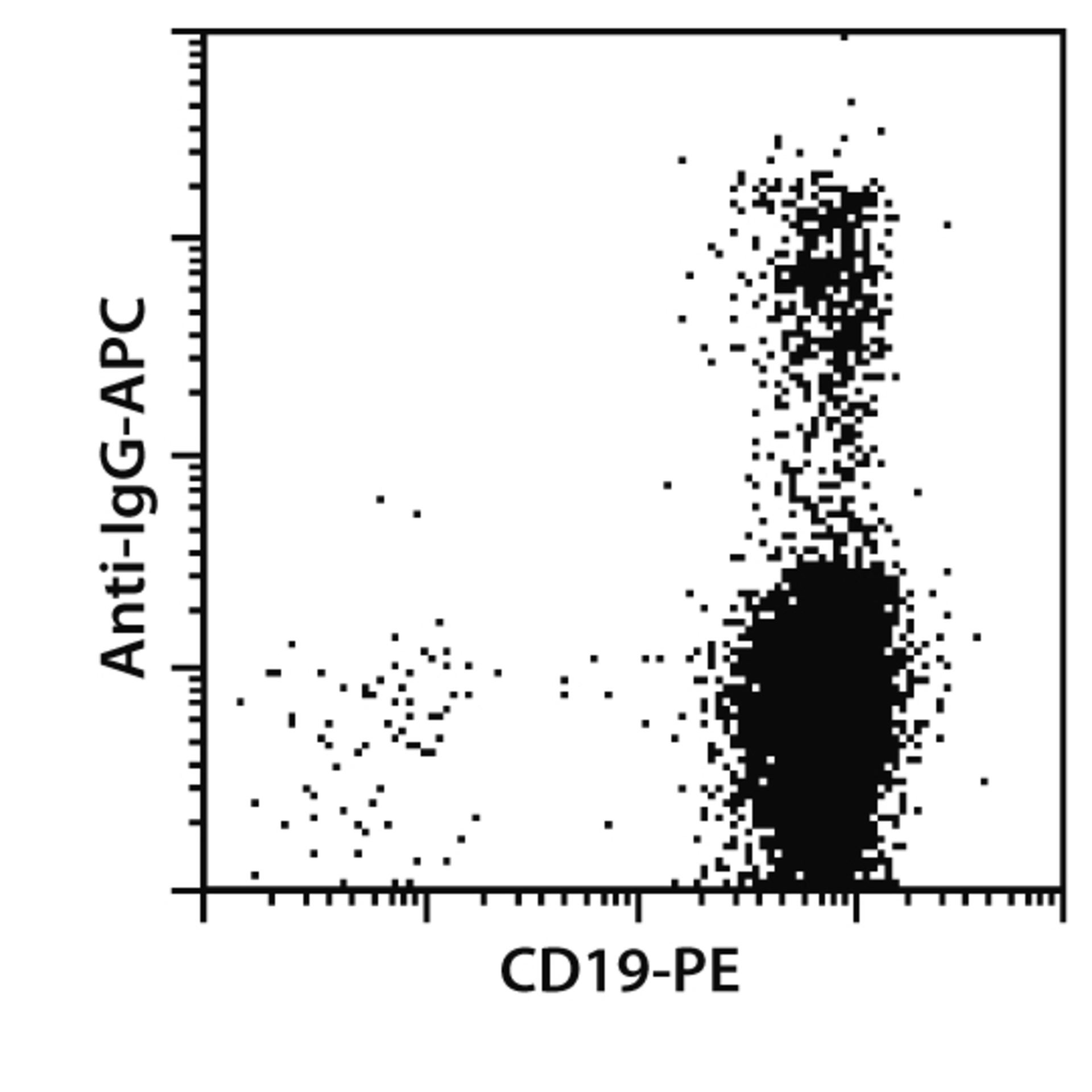 B Cells Human Miltenyi Biotec 香港