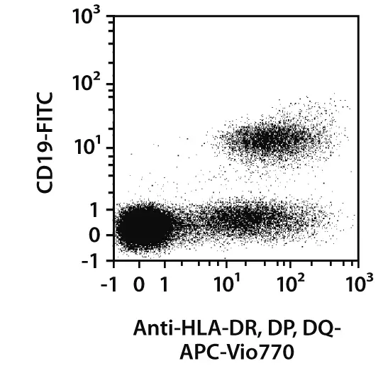 HLA-DR, DP, DQ Antibody, anti-human, REAfinity™ | Miltenyi Biotec | India