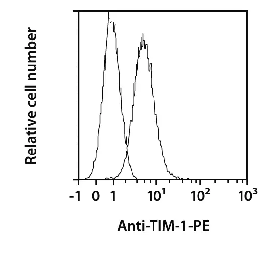 TIM-1 Antibody, anti-mouse | Miltenyi Biotec | USA