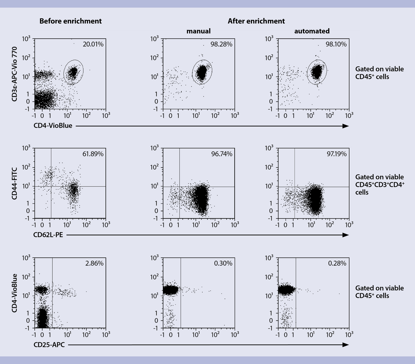 TH1, TH2, and TH17 polarization | CD4+ mouse T cells | Protocol ...
