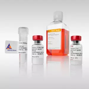 B Cell Expansion Kit, human | Miltenyi Biotec | USA