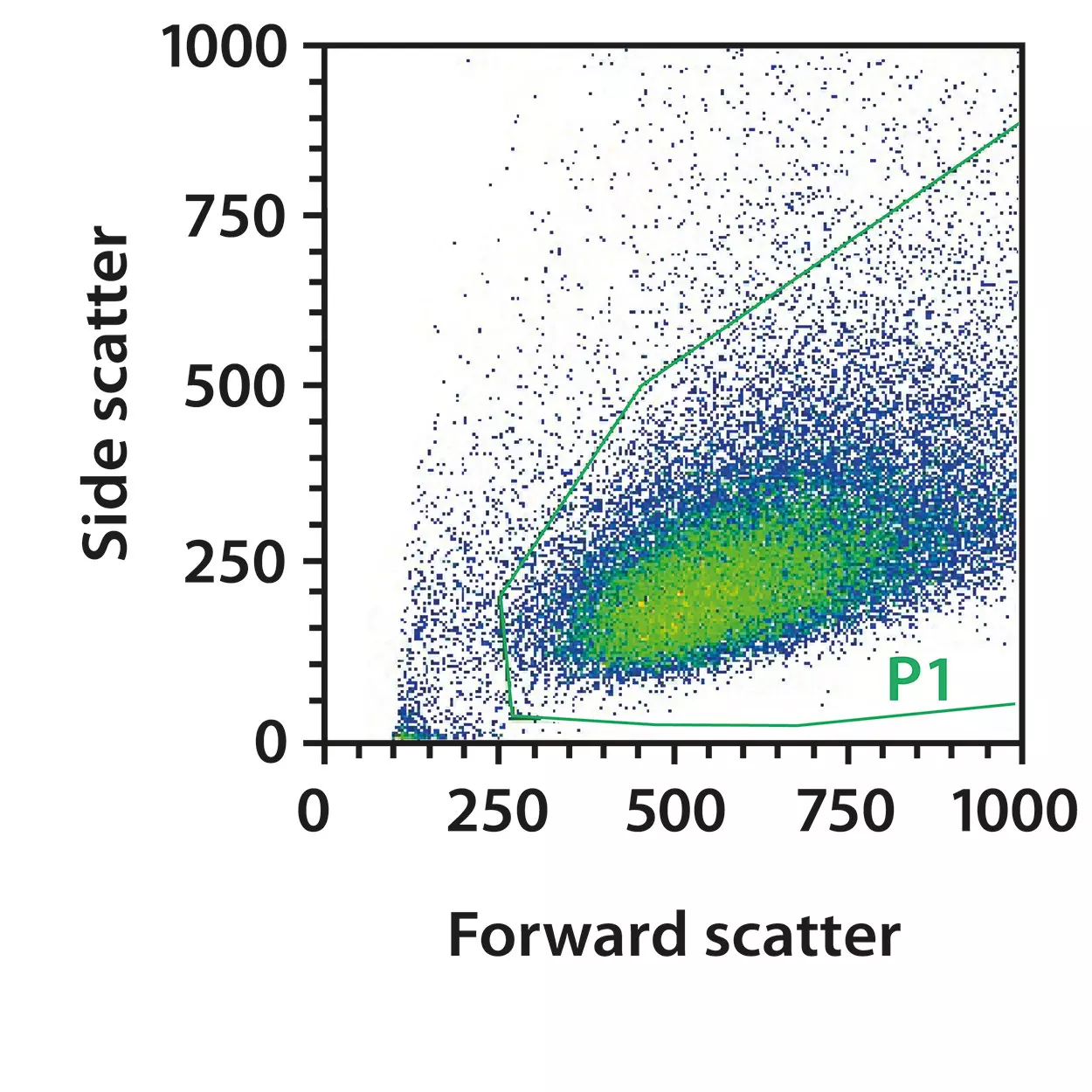 MSC Phenotyping Cocktail Kit, anti-human, REAfinity™ | Miltenyi Biotec ...