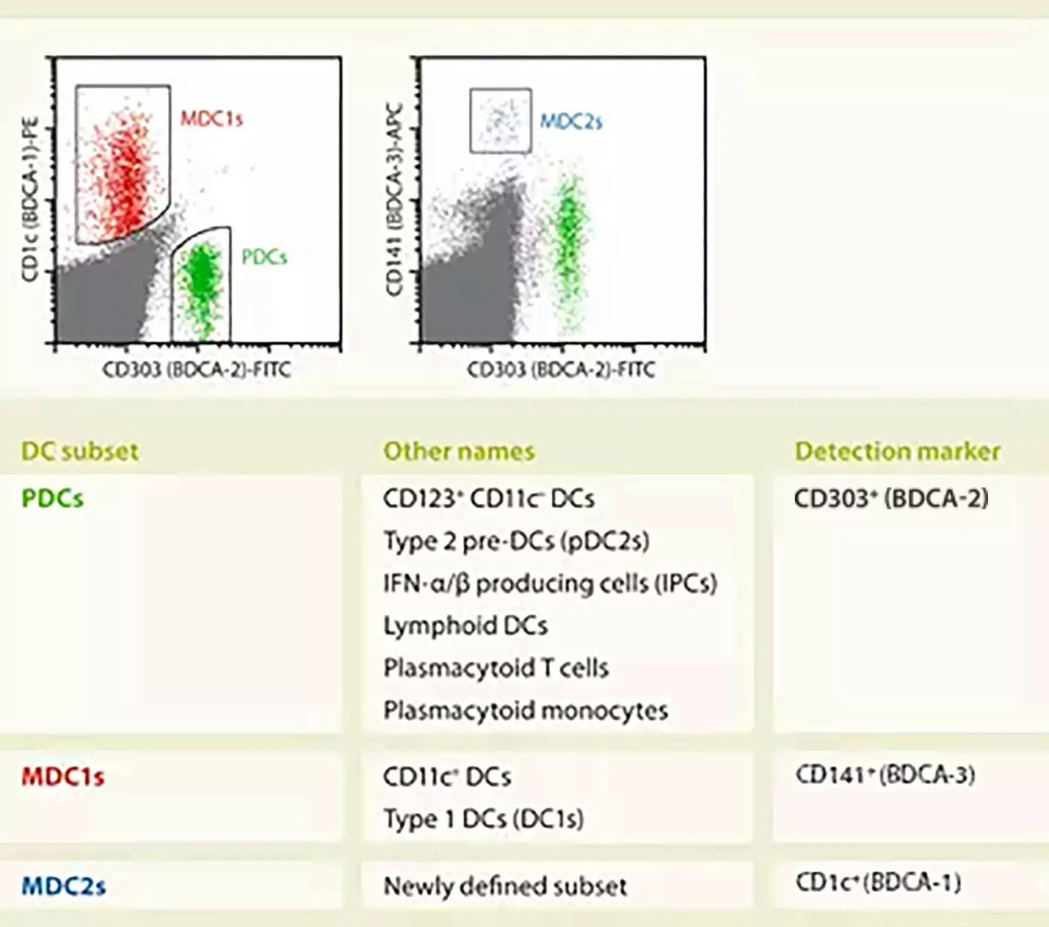 Blood Dendritic Cell Phenotyping Cocktail Kit, anti-human | Miltenyi ...