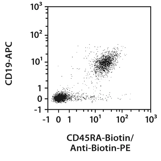 CD45RA Antibody, anti-mouse | Miltenyi Biotec | USA